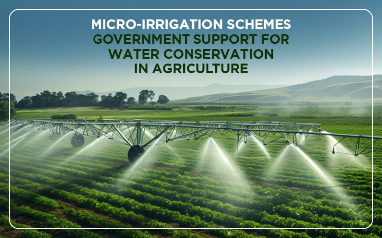 Micro-Irrigation Schemes: Govt Support for Farmers